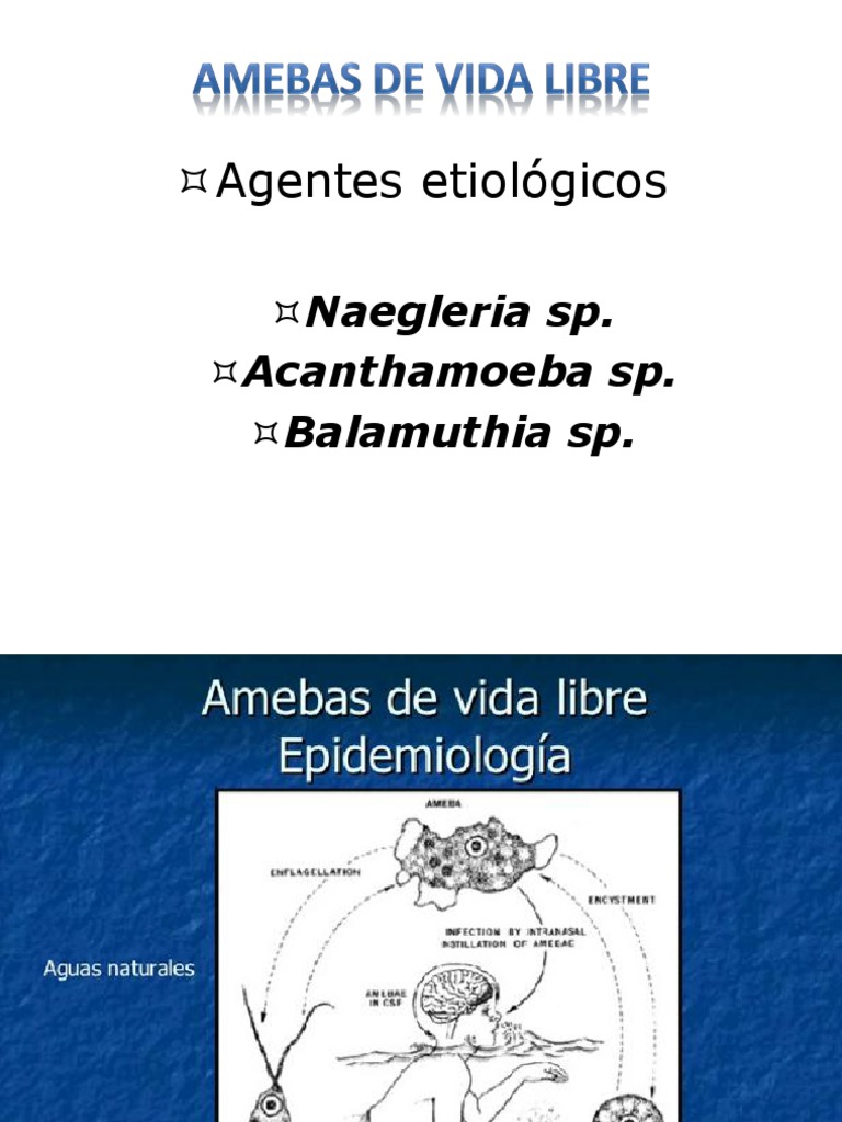 Amebas de Vida Libre | PDF | Biología | Bienestar