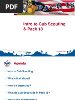 Cub Scout Lion Handbook | PDF | Scouting | Youth Movements