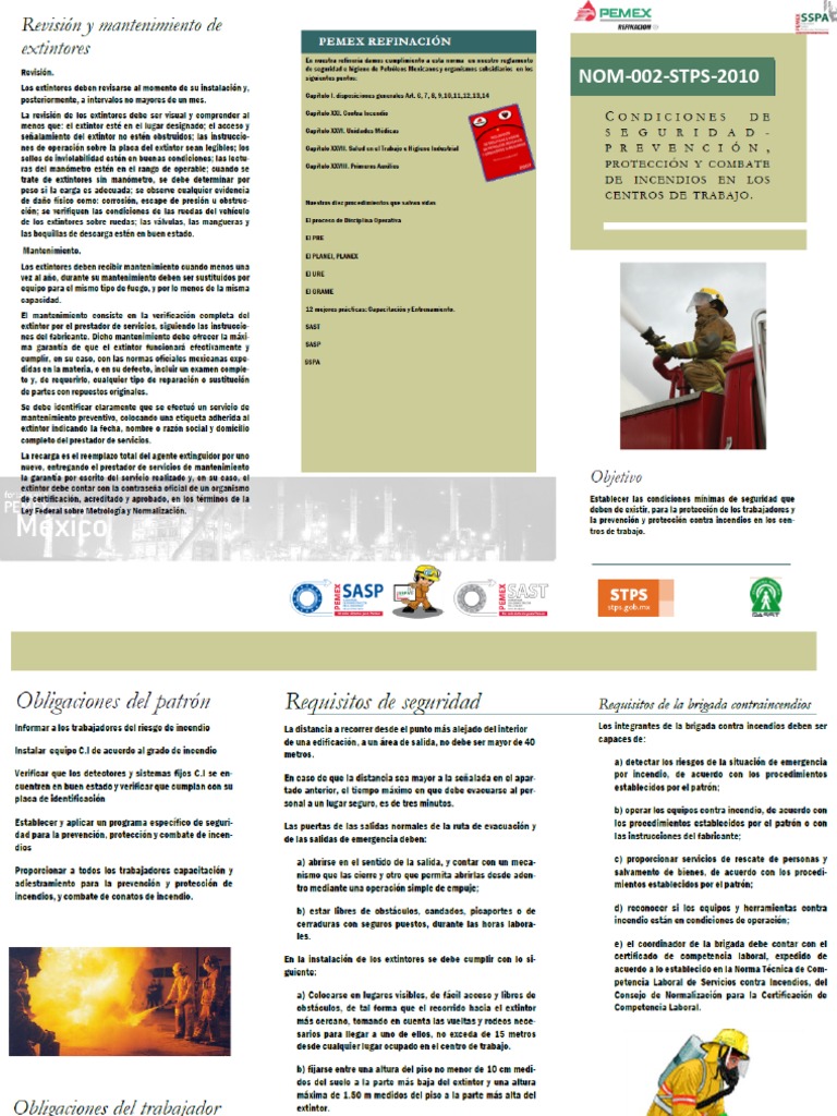 Nom 002 Stps Triptico | PDF