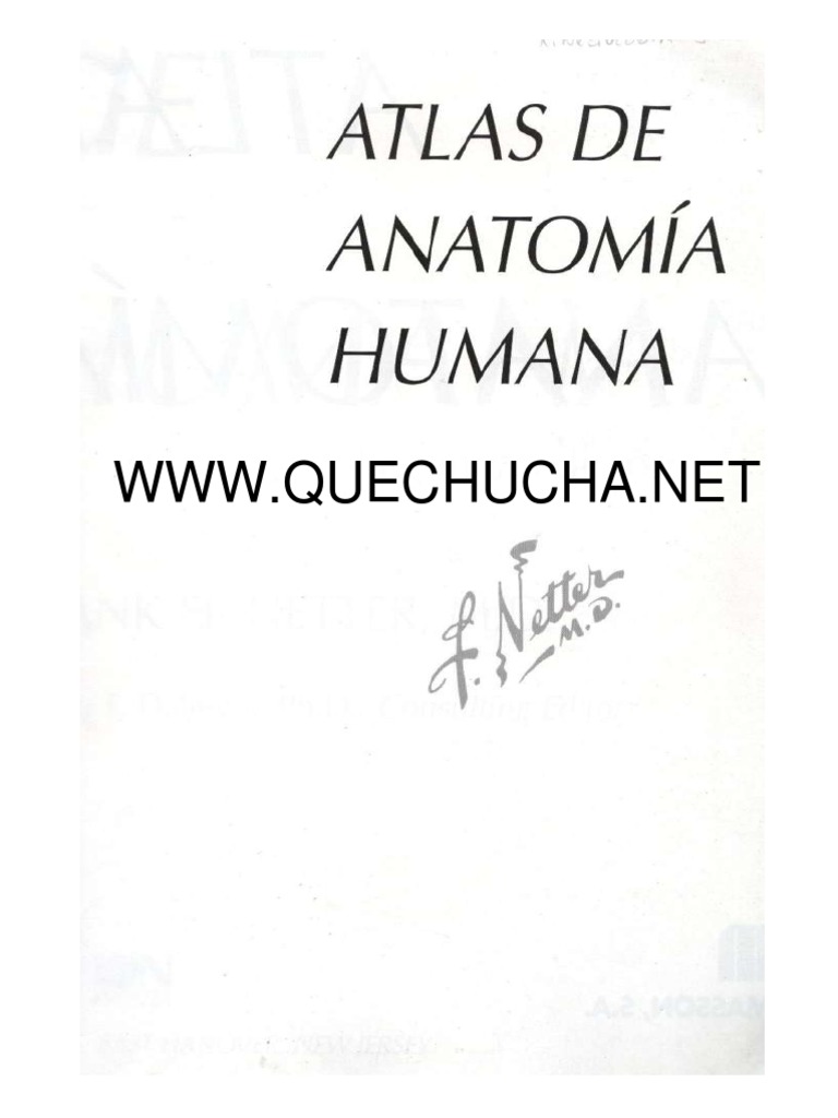 Atlas Netter | PDF