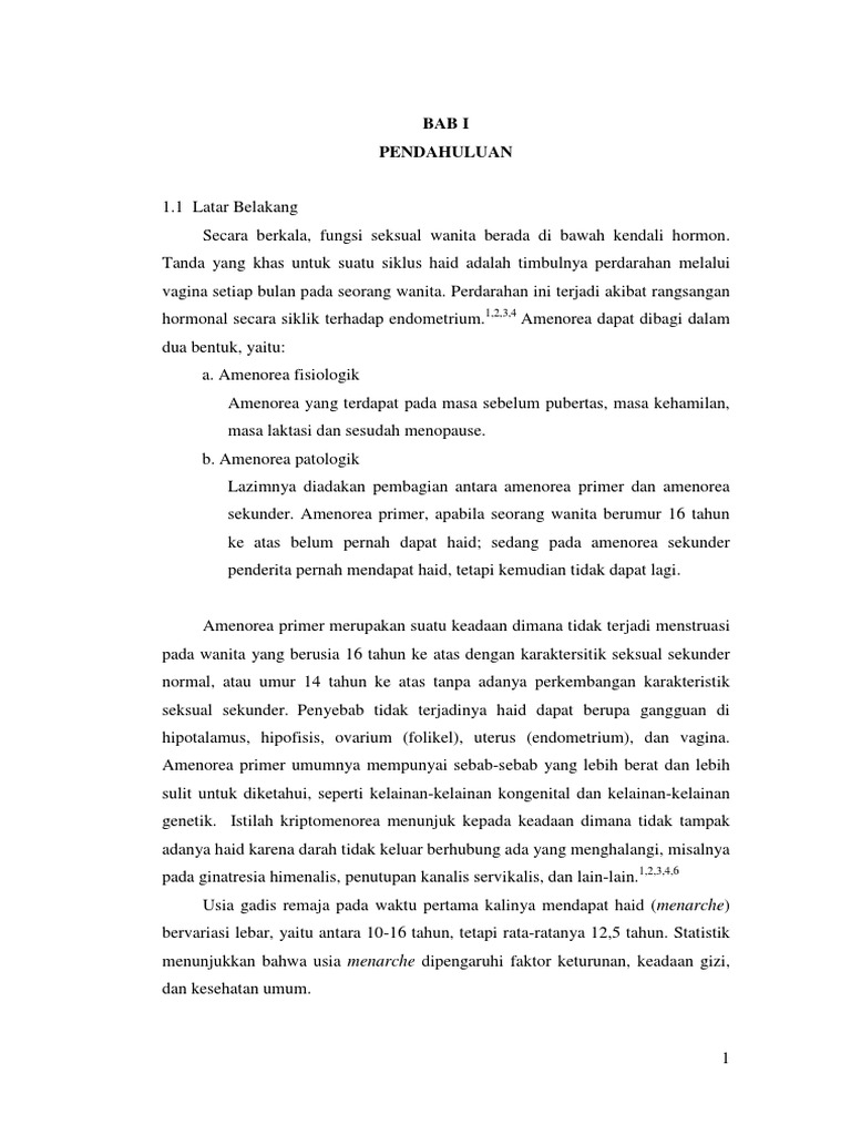 Amenore Primer | PDF