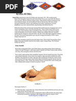 50 Posisi Seks Kamasutra (PDFDrive) | PDF