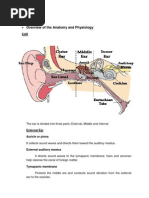 Aural Toilet Guideline1 | PDF | Ear | Hearing