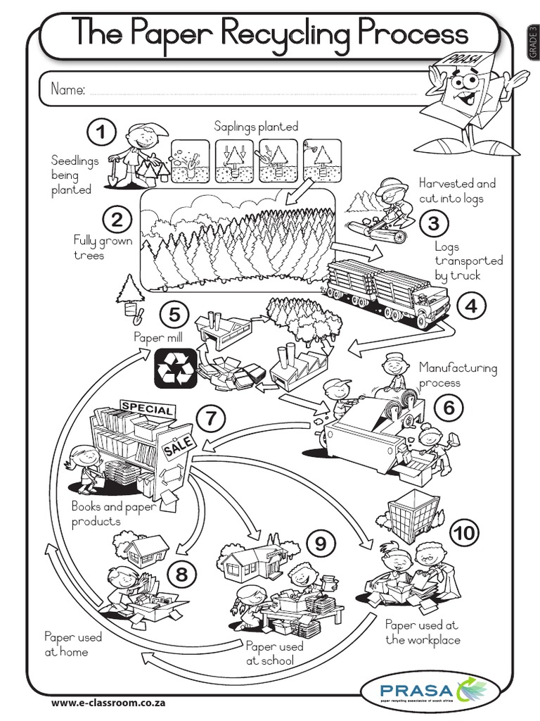 Understanding Paper Recycling for Kids | PDF