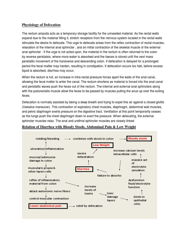 Physiology of Defecation Process | PDF | Rectum | Gastroenterology