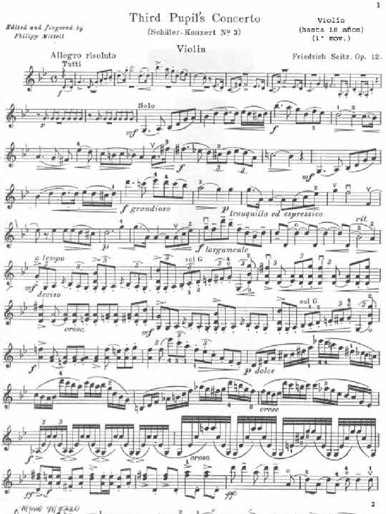 Seitz Student Concerto No. 3 (First Movement) | PDF