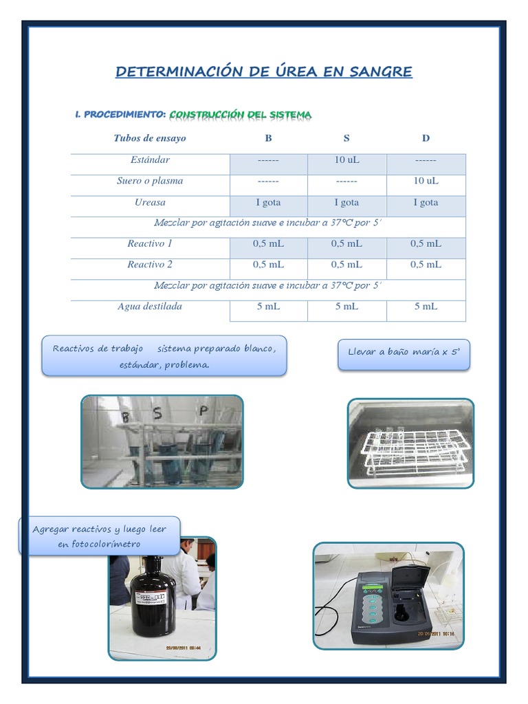 Determinacion de Urea | PDF | Bioquímica | Química