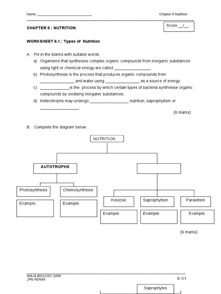 WORKSHEET 6.1 Types of Nutrition | PDF