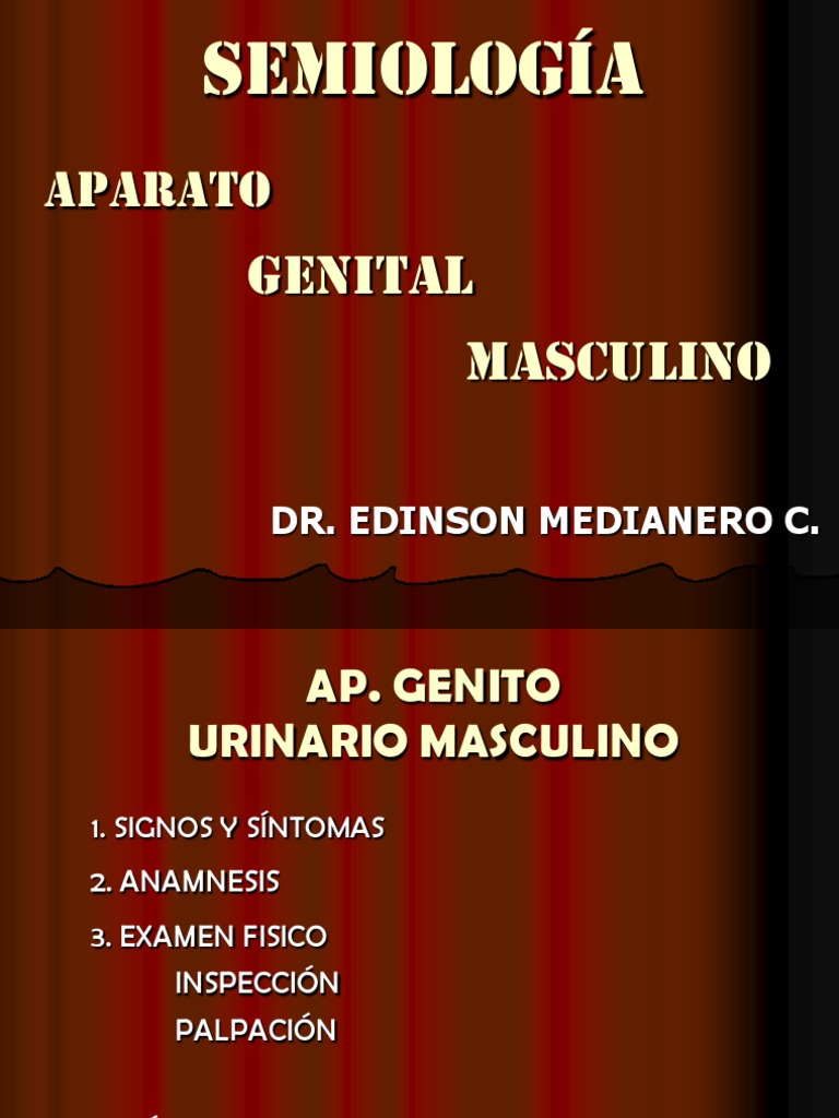57094298 Semiologia Aparato Genito Urinario Masculino