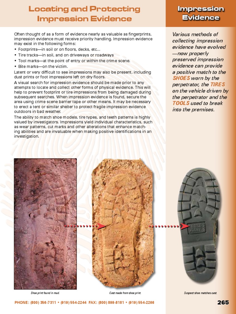 Impression Evidence.pdf | Casting (Metalworking) | Fingerprint
