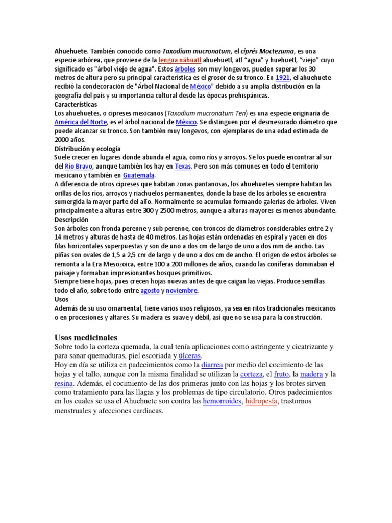 Ahuehuete | PDF | Tomate | Botánica