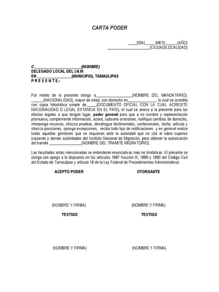 Carta Poder Formatos | PDF | Gobierno | Justicia