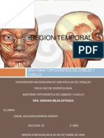 Region Superciliar ANATOMIA 2 FOLP | PDF | Anatomía humana | Cabeza y ...