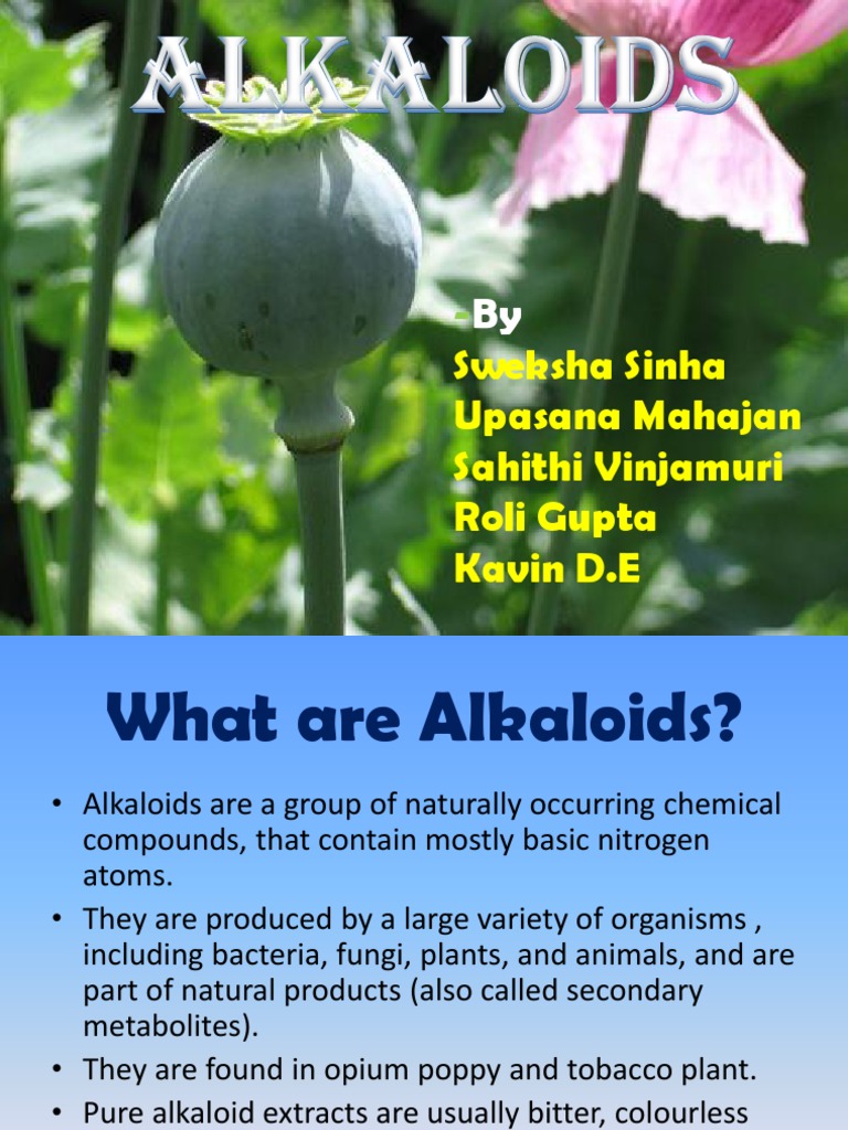 Alkaloids (1)ppt | Alkaloid | Pharmacology | Free 30-day Trial | Scribd