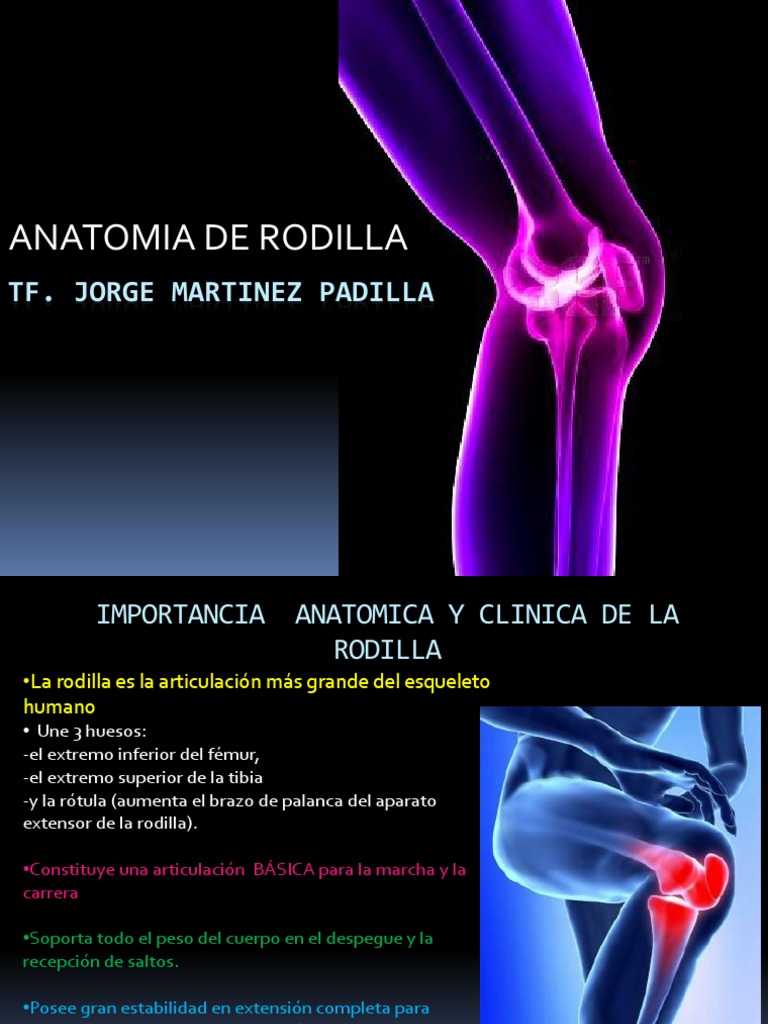 Rodilla 121004135836 Phpapp01 | PDF | Rodilla | Sistema musculoesquelético