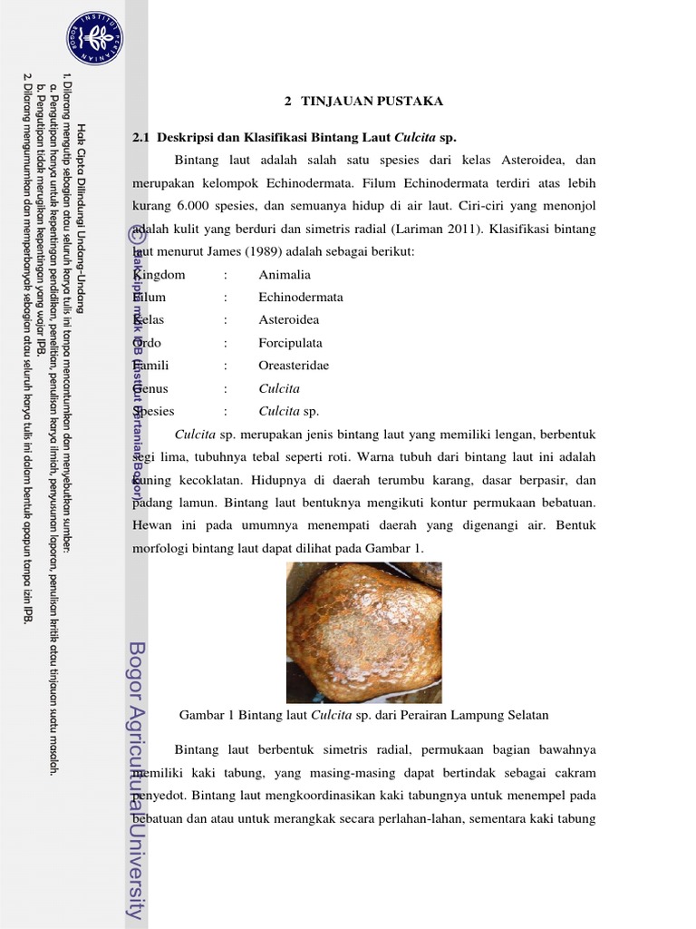 Linckia Sp. | PDF | Sains & Matematika