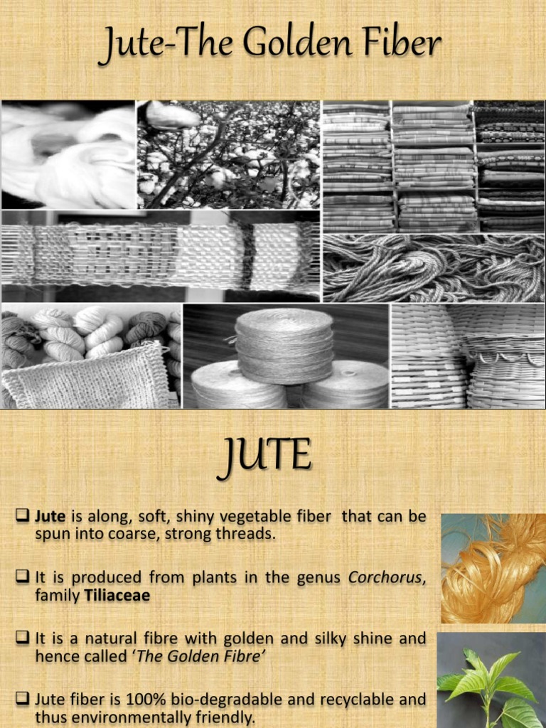 Jute– The Golden Fiber | Jute | Fibers