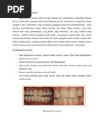 Tabel Waktu Erupsi Gigi | PDF | Seni & Disiplin Bahasa | Kajian Bahasa ...