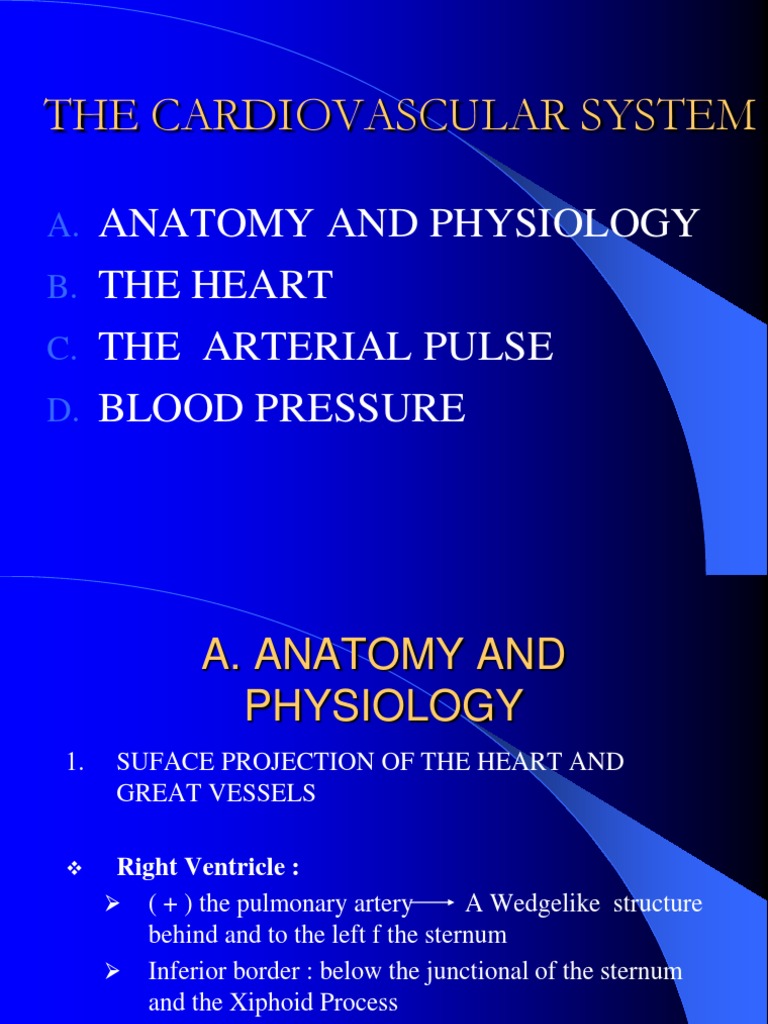 The Cardiovascular System: Anatomy and Physiology The Heart The ...