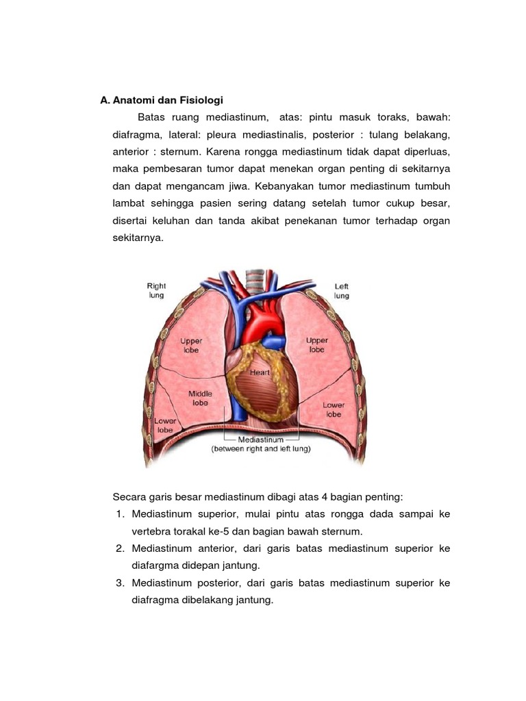 LP Tumor Mediastinum | PDF