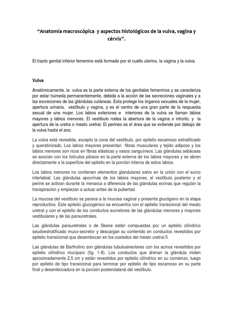 Anatomía de la Vulva y Vagina Femenina | PDF | Vagina | Epitelio