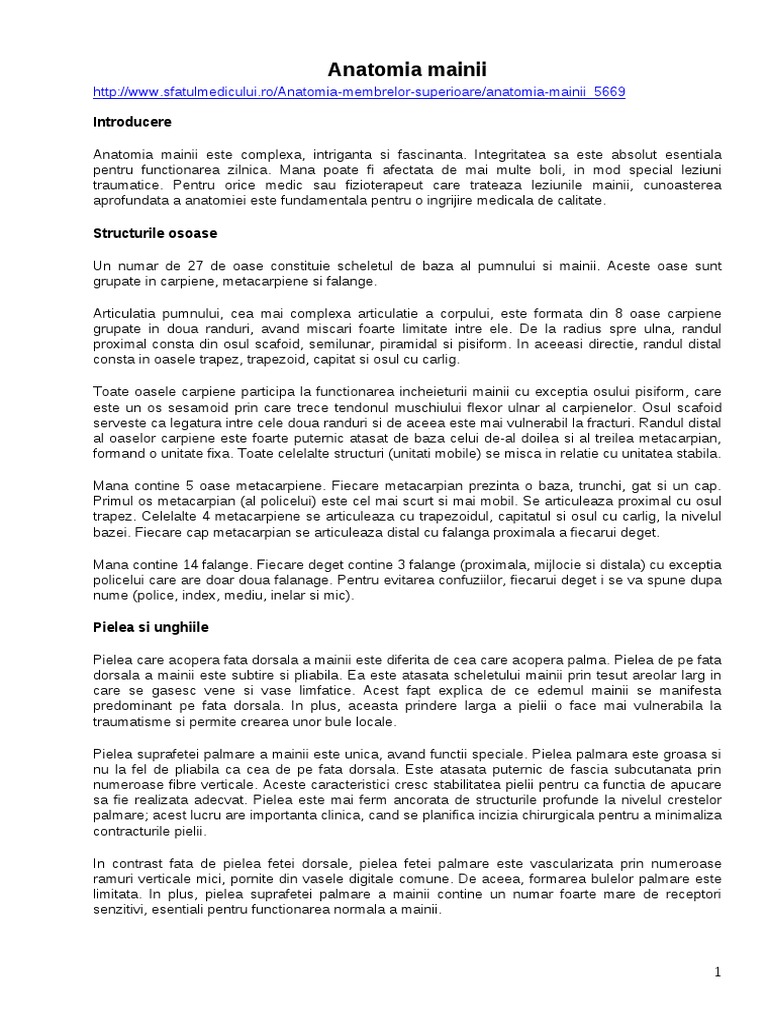 Anatomia Mainii | PDF