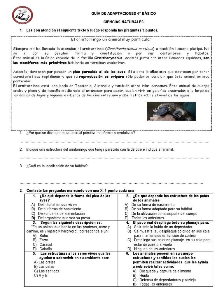Ev 1 4ºB Adaptaciones y Estructuras | PDF | Depredación | Tetrápodos
