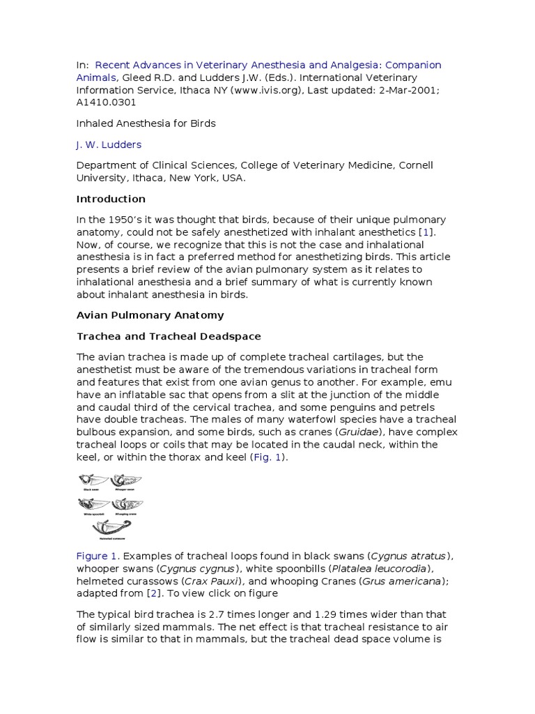 Inhaled Anesthesia For Birds | PDF | Anesthesia | Lung