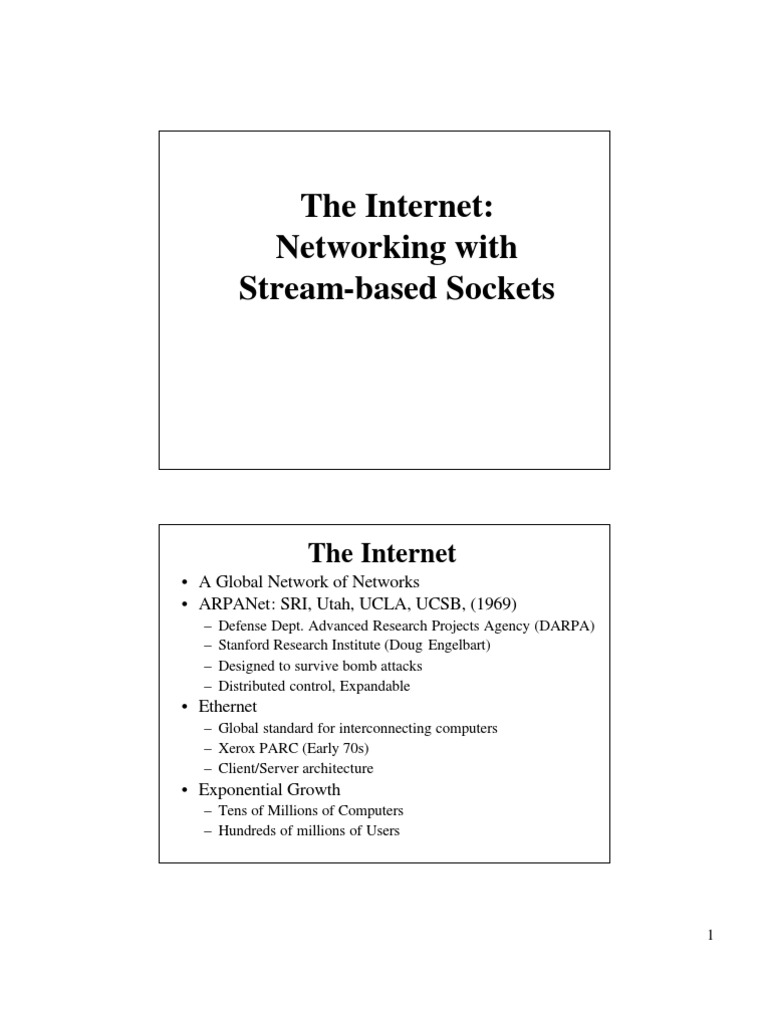 15 f08 Network Sockets1 | PDF | Port (Computer Networking) | Network Socket