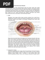 Anatomi Fisiologi Diare | PDF