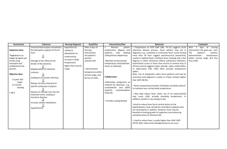 Assessment Inference Nursing Diagnosis Goal/Plan Intervention/Plan ...