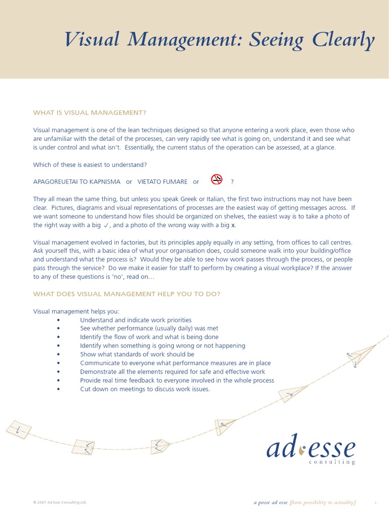 Visual Management: Seeing Clearly | PDF