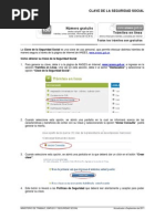 ANSES - Formulario USI-07 | PDF | Internet | Informática