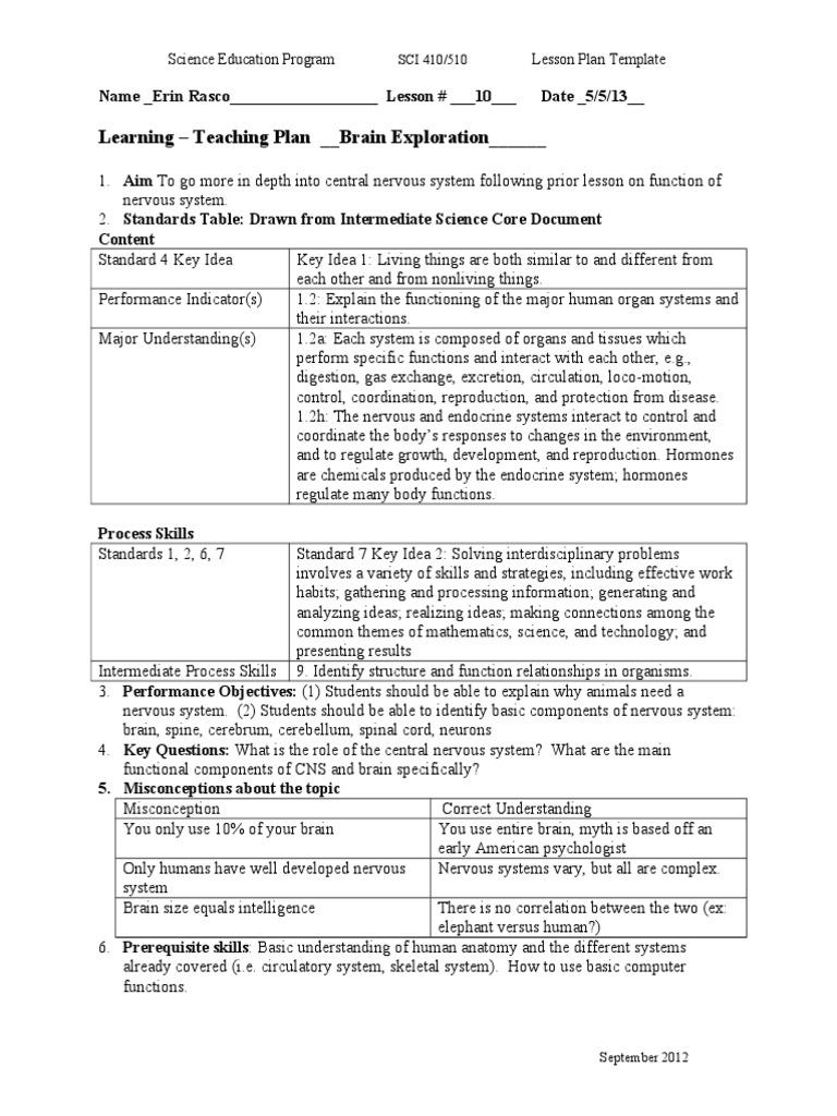 Lesson Plan Brain | Nervous System | Central Nervous System