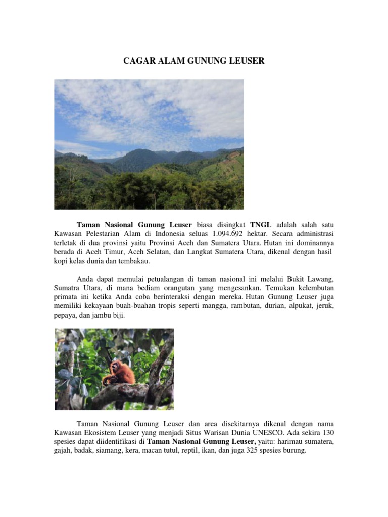 Petualangan di Gunung Leuser | PDF