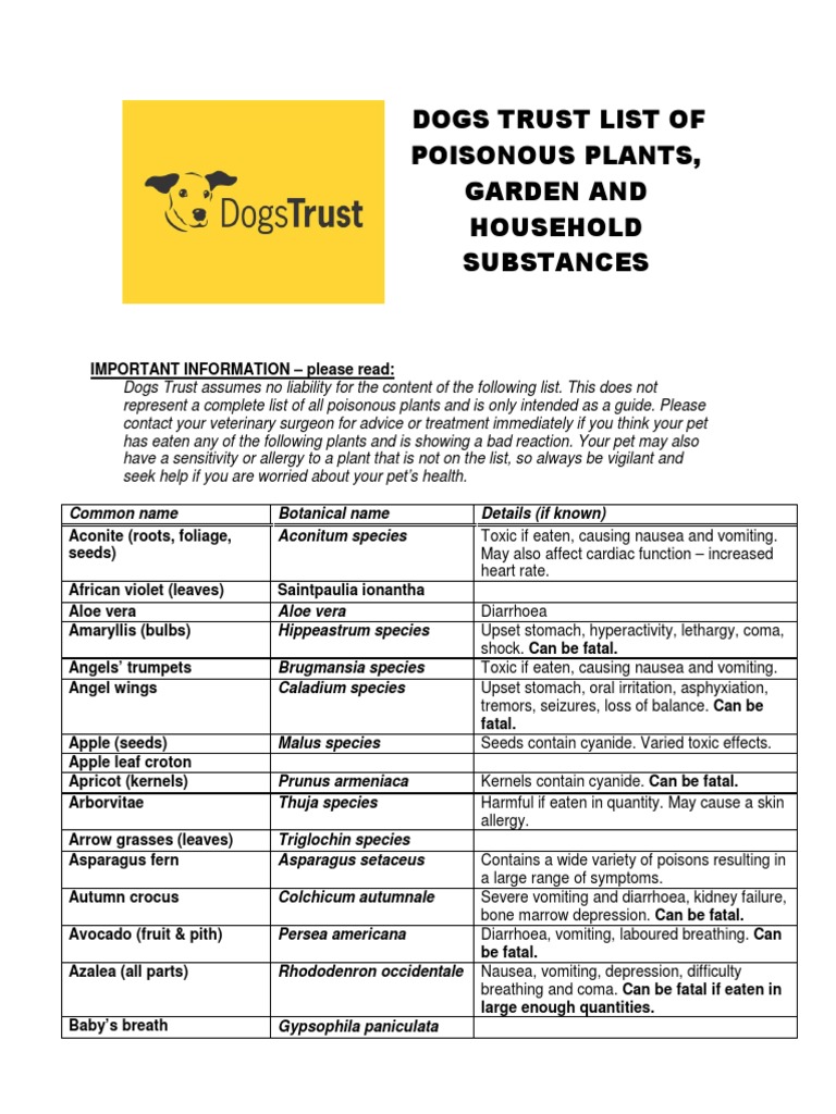 Dogs Trust List of Poisonous Plants, Garden and Household Substances ...