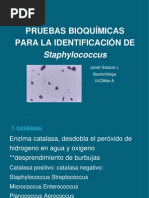 Pruebas Bioquimicas para Enterobacterias | PDF | Química | Las bacterias