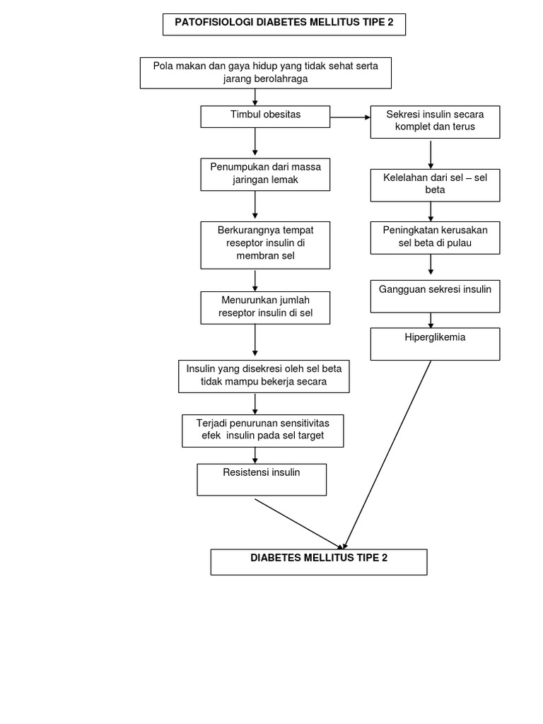 Patofisiologi DM Tipe 2 | PDF