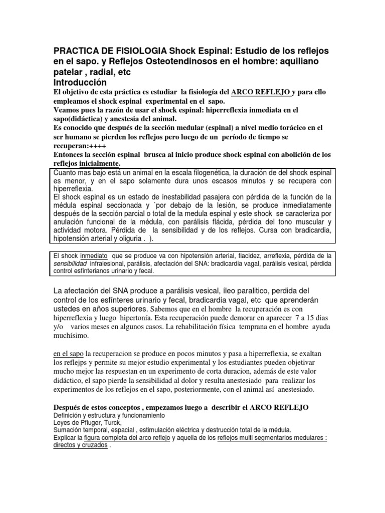 Copia de PRACTICA SHOCK ESPINAL o REFLEJ en SAPO Reflejos Osteo ...