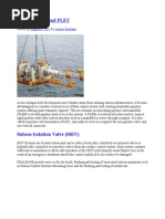 Subsea PLEM and PLET Overview | PDF | Subsea (Technology) | Pipeline ...
