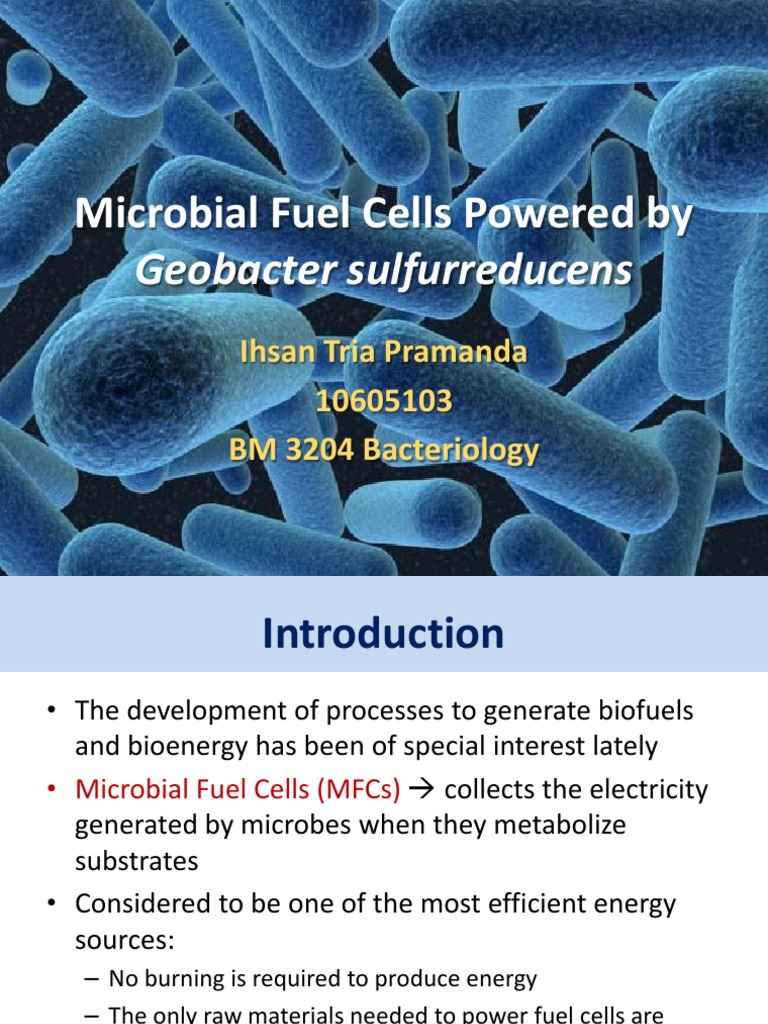 Microbial Fuel Cell | PDF | Biofilm | Bacteria
