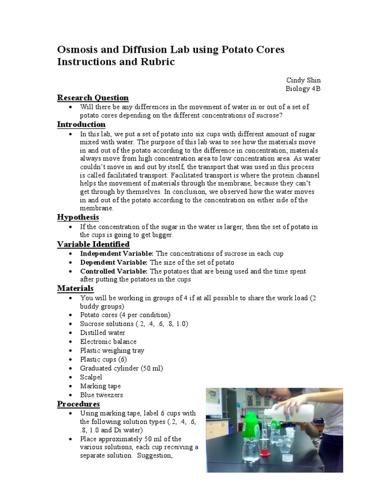 Osmosis and Diffusion Lab Using Potato Cores Lab | PDF | Osmosis | Sucrose