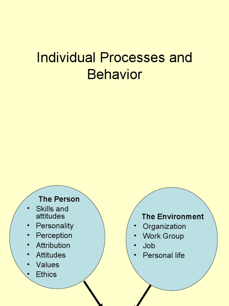 Lesson 2 Individual Processes and Behavior | PDF | Self Efficacy ...