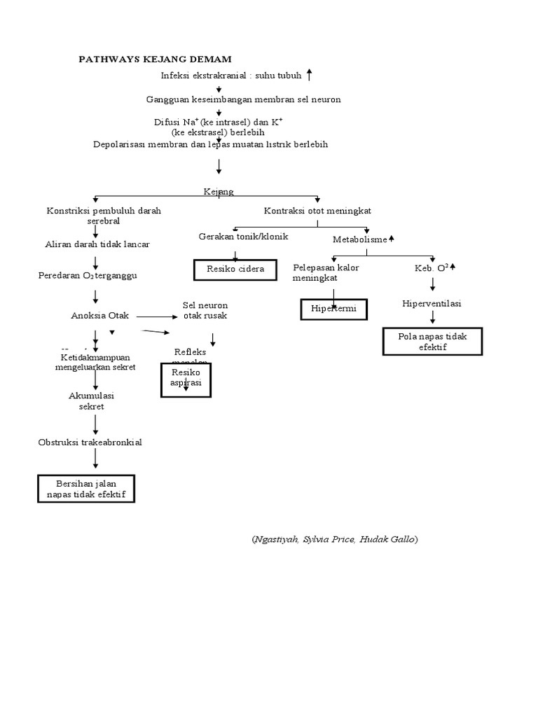 Pathways Kejang Demam | PDF