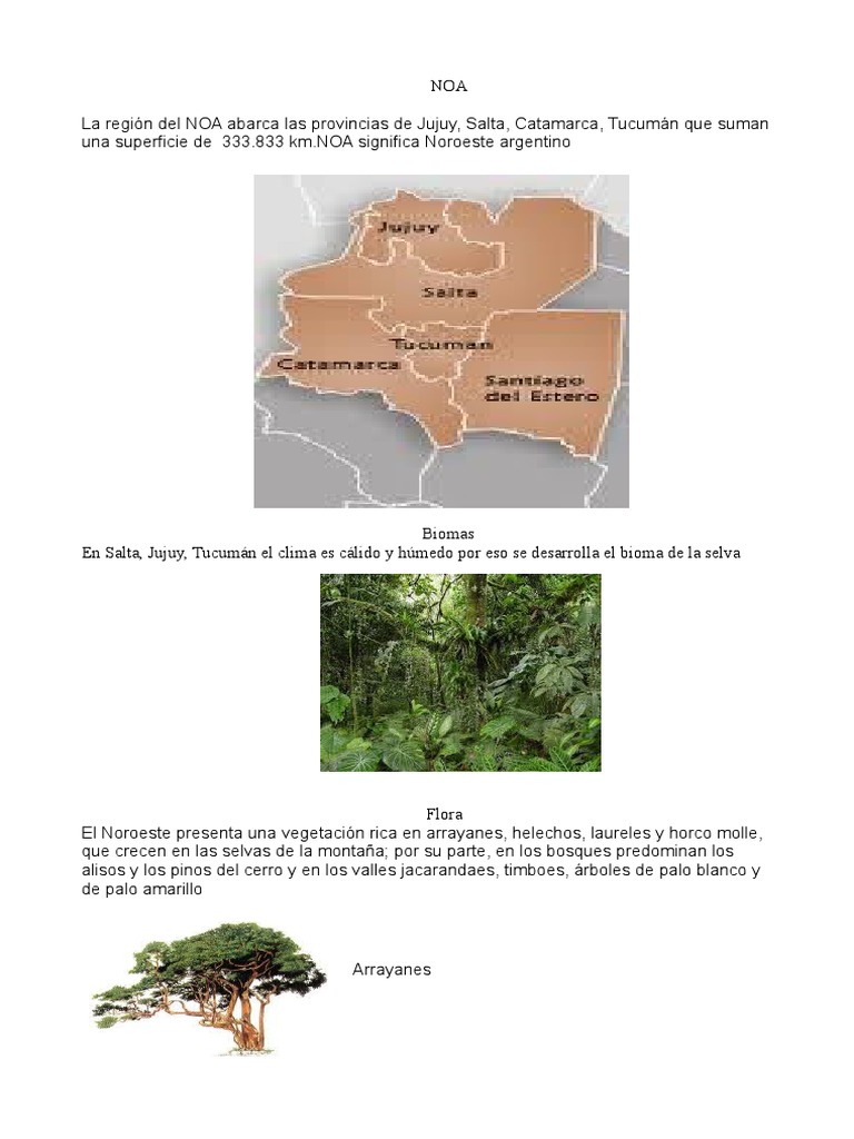 Región Del NOA | PDF | Earth Sciences | Geografía Física
