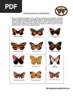 Vocabulario de 100 insectos en inglés y español | PDF