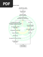Pathway Nutrisi | PDF