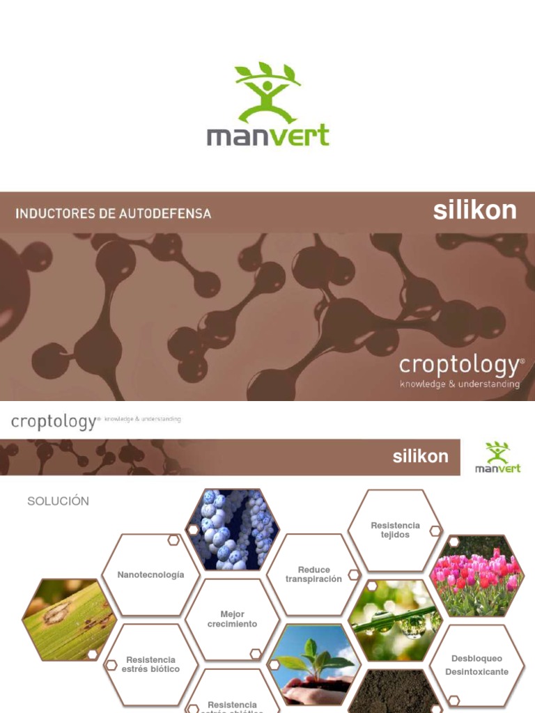 Manvert Silikon New | PDF | Hoja | Aluminio