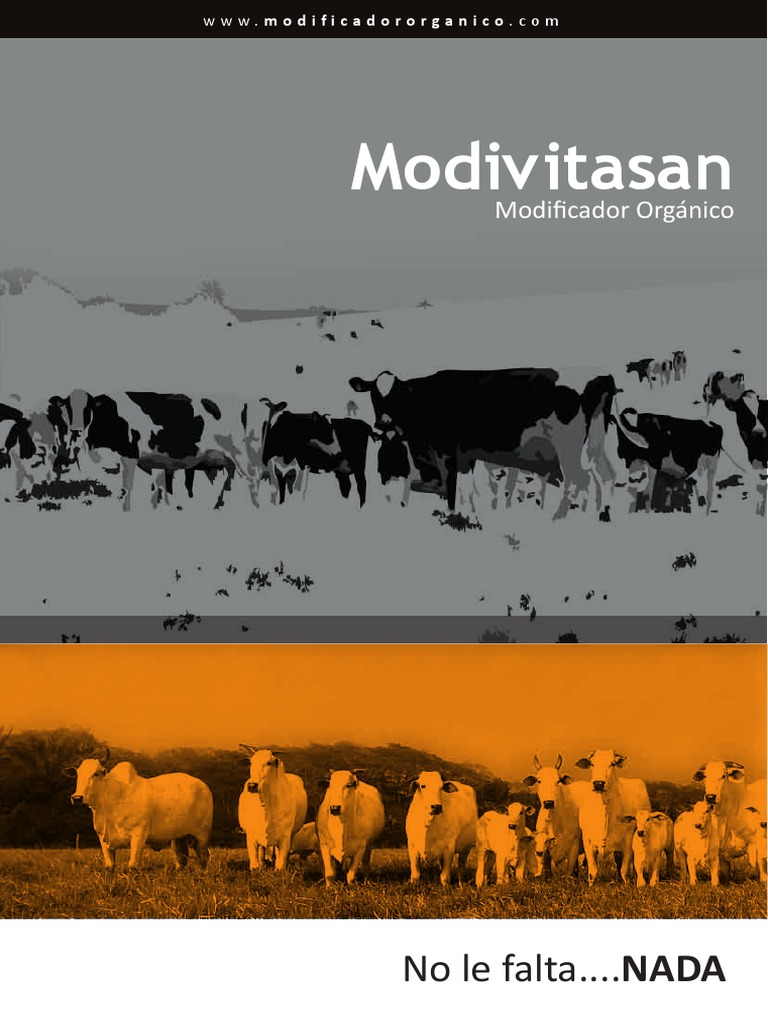 PDF Modivitasan | PDF | Nutrientes | Carne