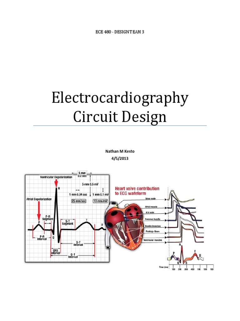 Electro Cardiograph y Circuit Design | PDF | Amplifier ...